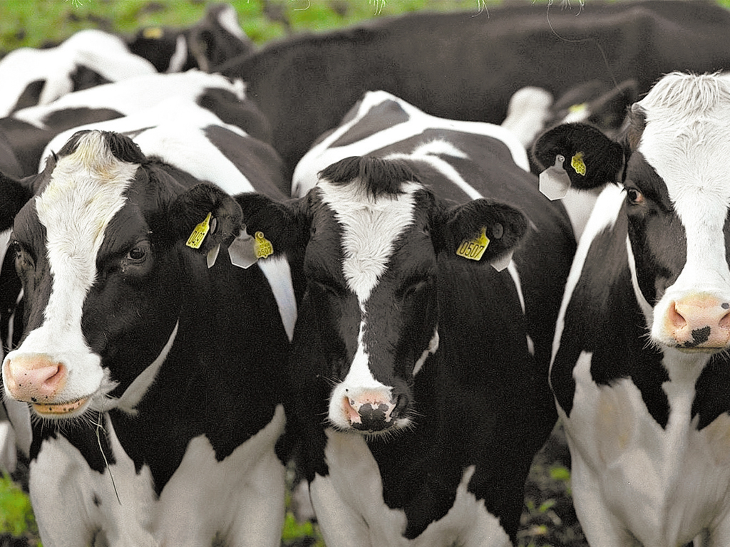 Anafi diventa Anafij - L'Informatore Agrario