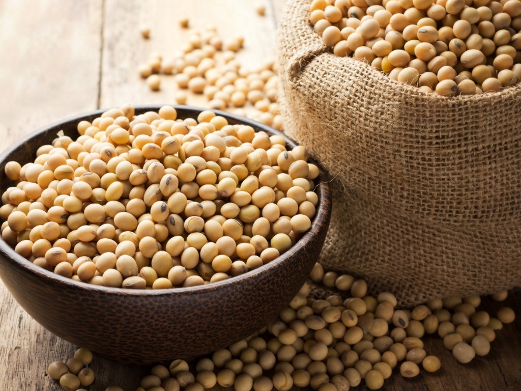 Soia: i consumatori chiedono l'impiego di seme certificato - L ...