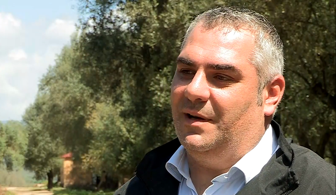 Azoto e fosforo, veri alleati in oliveto