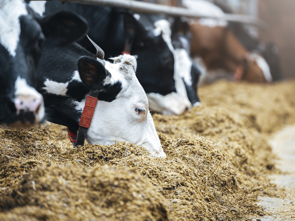 Analisi del latte innovative per filiere più efficienti - L'Informatore ...