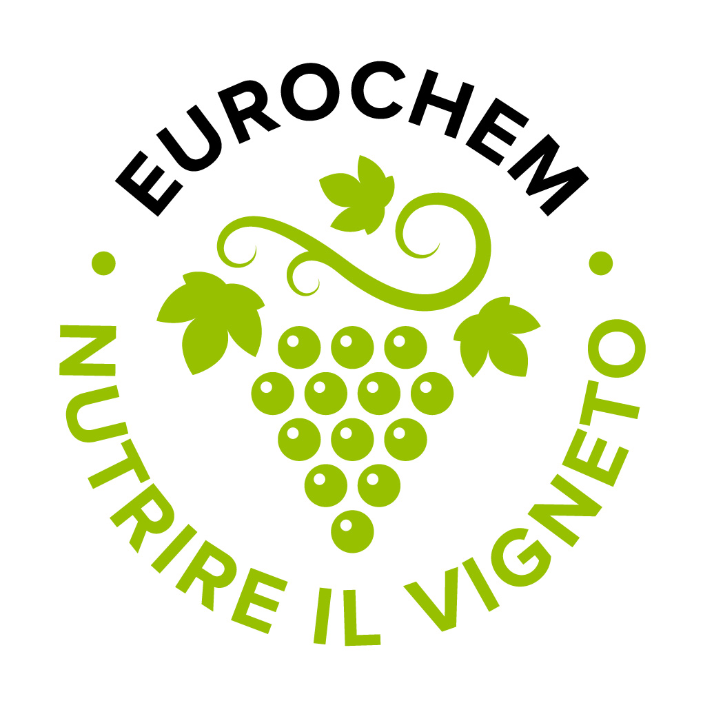 Nutrire il vigneto per migliorare il vino - L'Informatore Agrario
