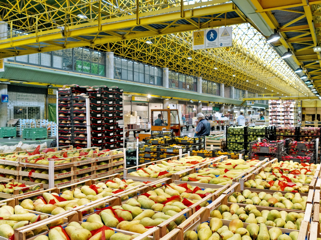 La filiera agroalimentare e distributiva al servizio del Paese - L ...