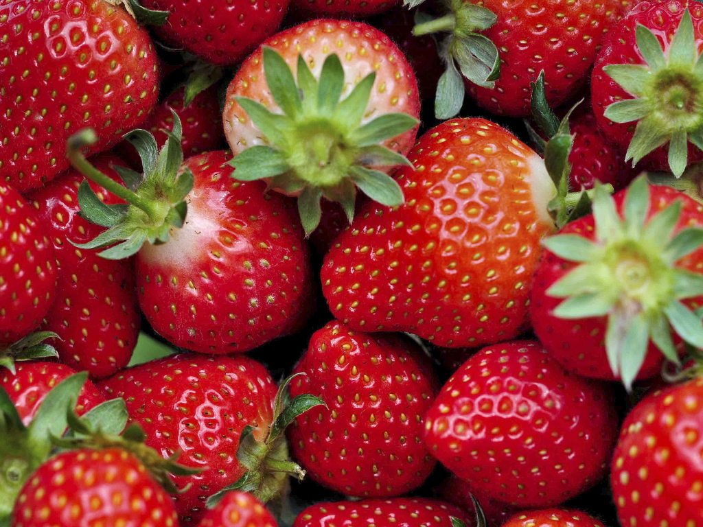 Il quadro produttivo della fragola - L'Informatore Agrario