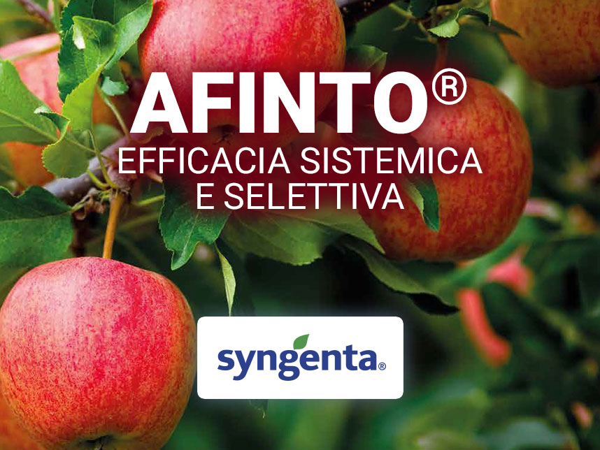 AFINTO: efficacia sistemica e selettiva