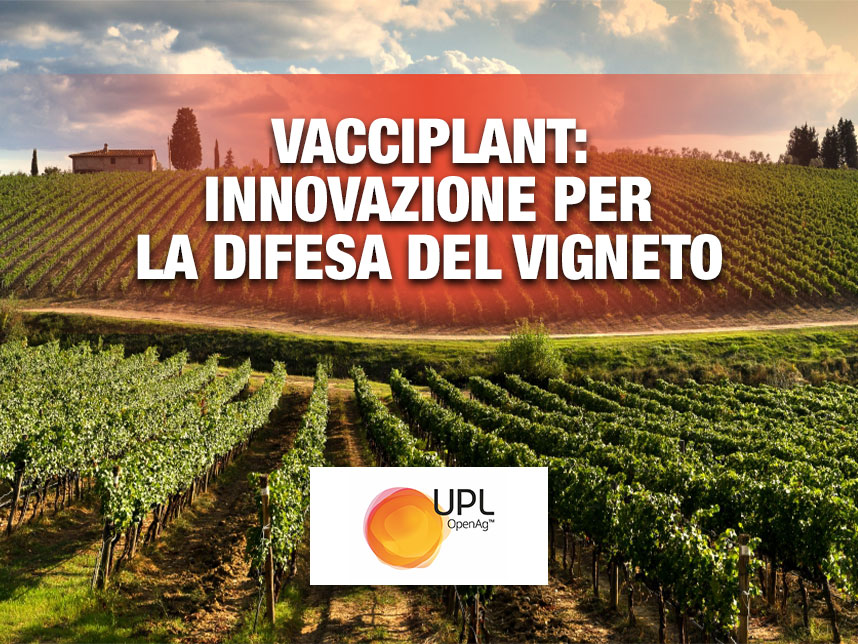Vacciplant: Innovazione per la difesa del vigneto