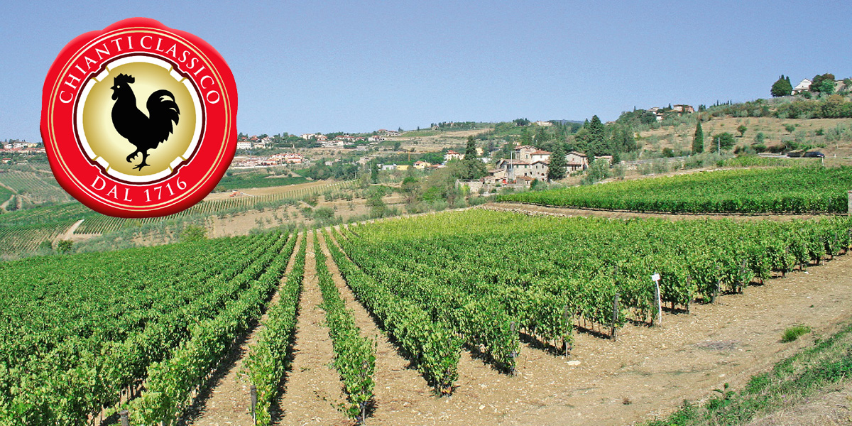 Chiani classico FB - L'Informatore Agrario