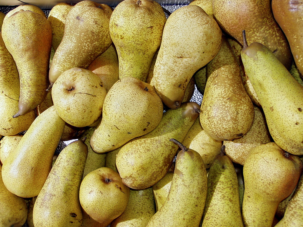 Tracollo produttivo per le pere italiane - L'Informatore Agrario