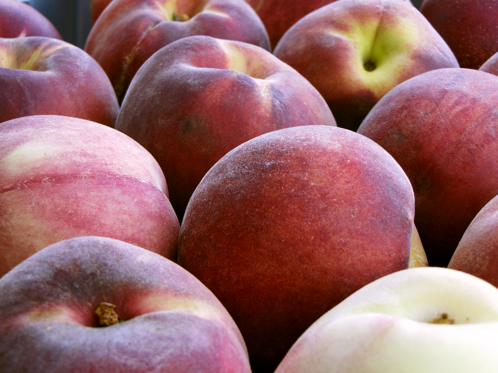 Pesco: bisogna puntare al mercato interno - L'Informatore Agrario