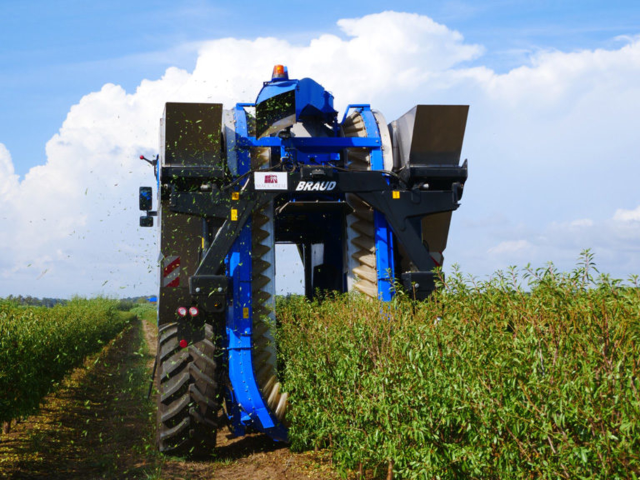 New Holland Braud 11.90X su mandorleto intensivo alla Maccarese - L ...