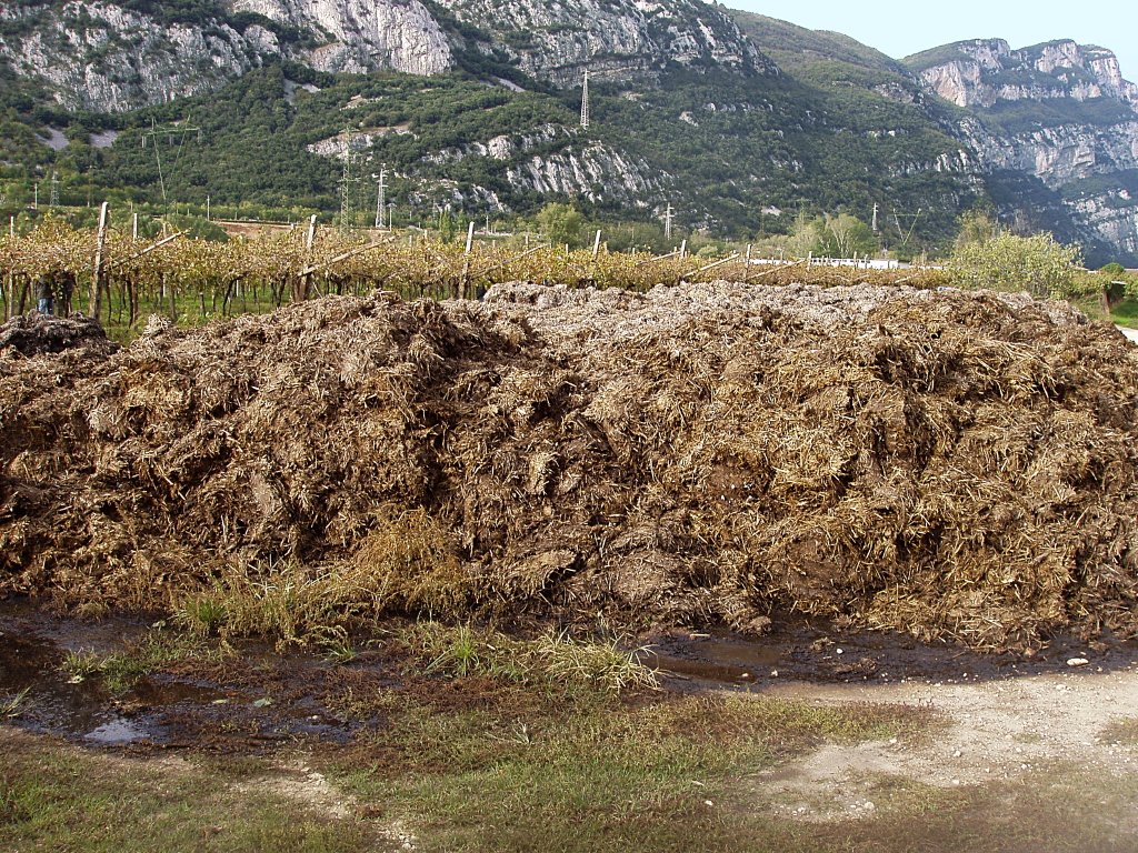 Fertilizzazione organica del vigneto - L'Informatore Agrario
