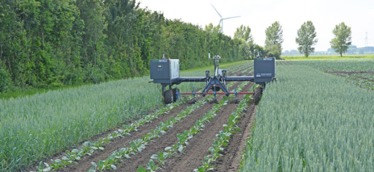 Robot agricoli: tecnologie e diffusione