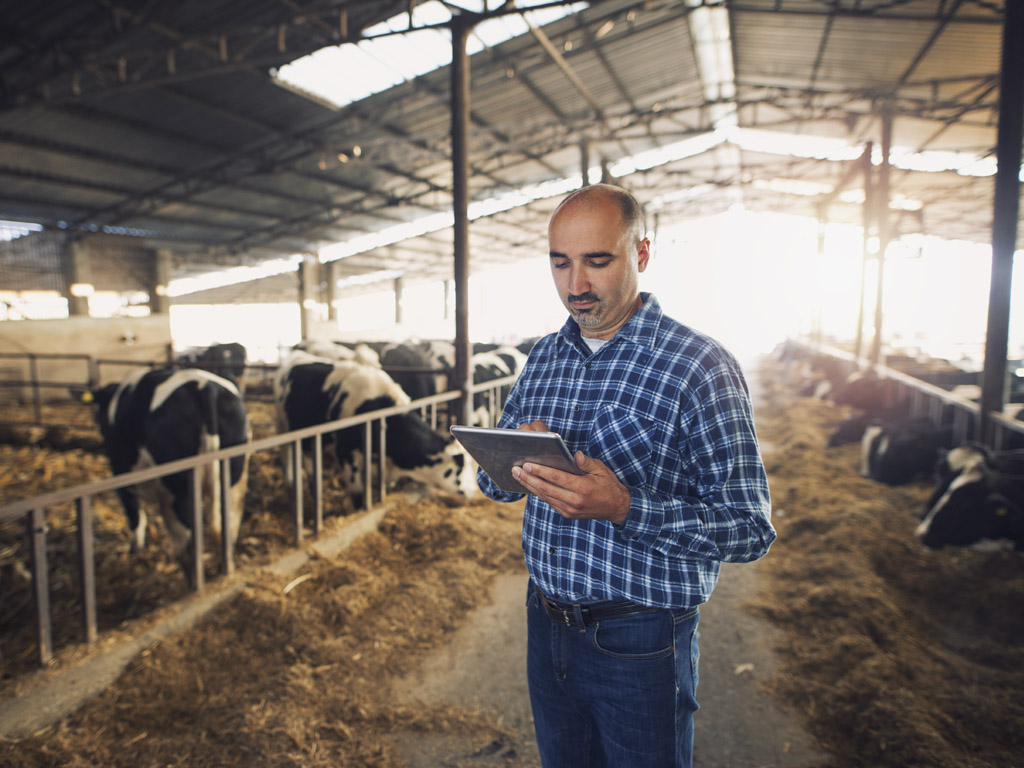 Gestione dei costi in stalla tra punti di forza e criticità - L ...