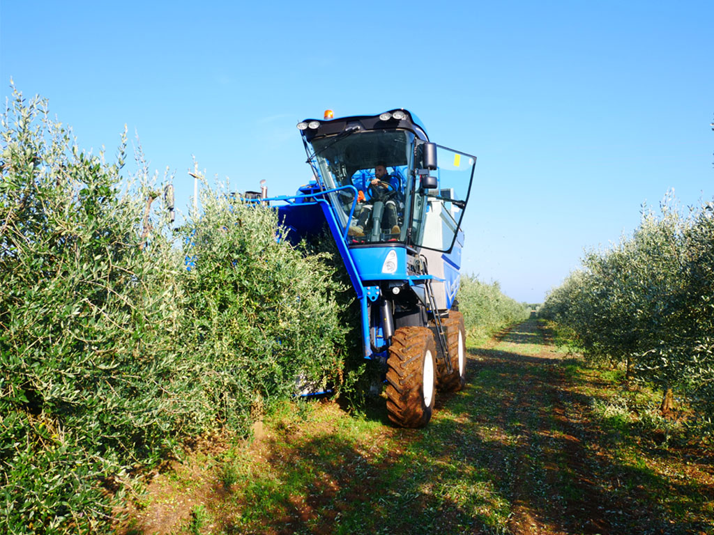 New Holland Braud 11.90X Multi, versatile per natura - L'Informatore ...