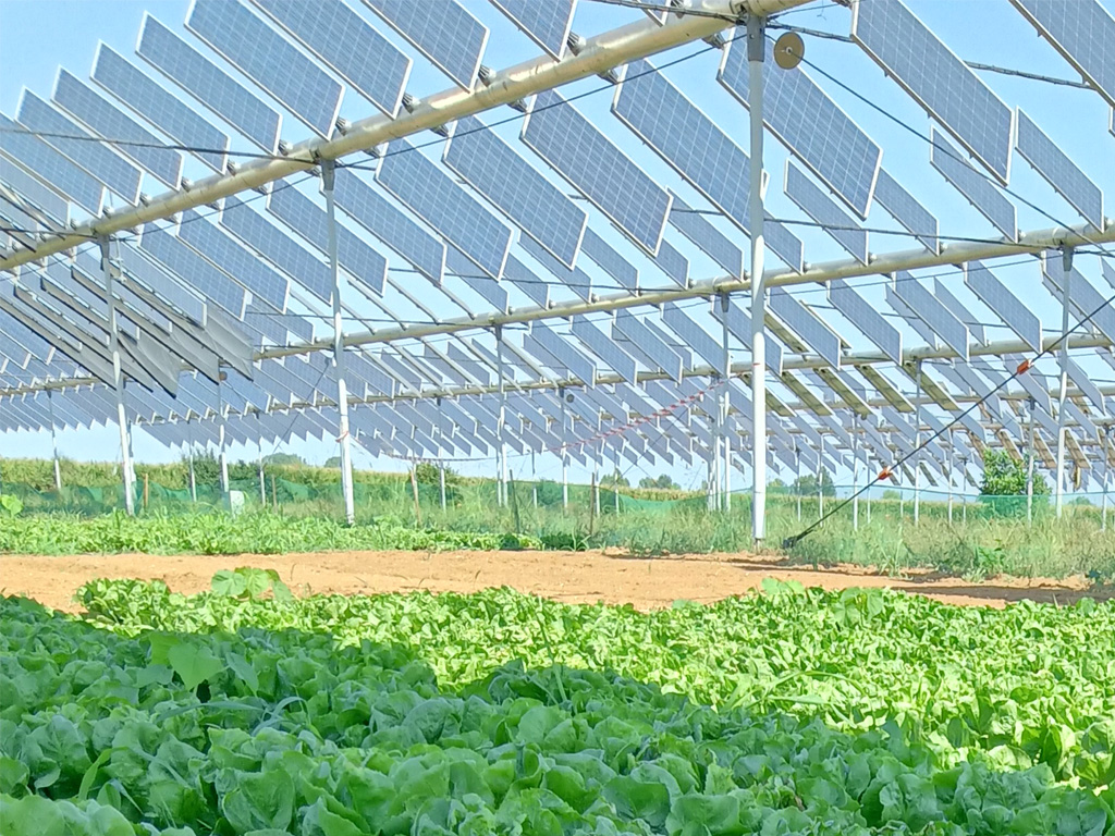 Per l’agrivoltaico 323 milioni di euro - L'Informatore Agrario
