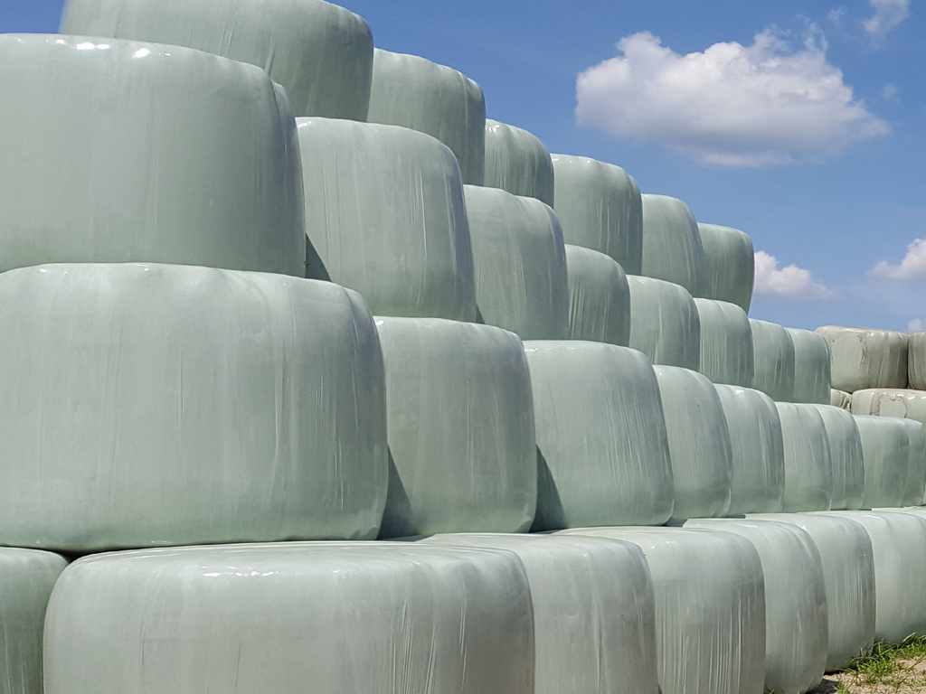 Rotoballe fasciate: se fatte bene i vantaggi sono molteplici - L ...