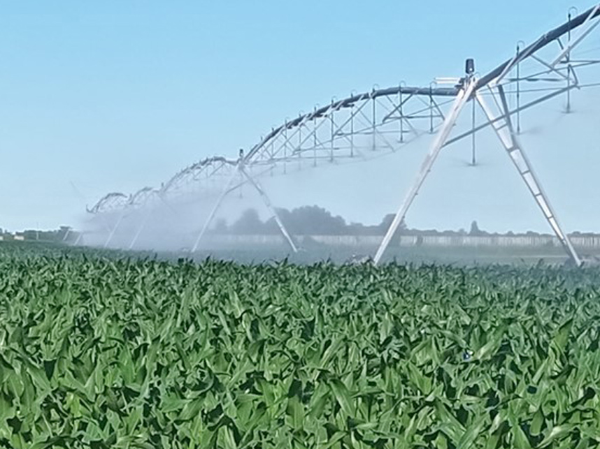 Irrigazione: prove con il rainger migliorano le rese e risparmiano ...