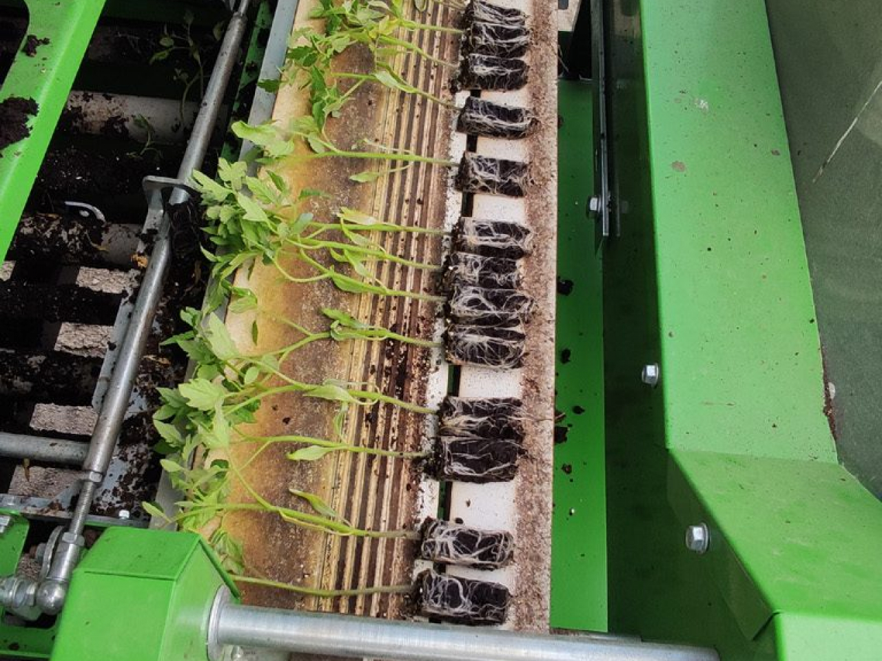 Agriplanter 2 SP trapiantatrice automatizzata - L'Informatore Agrario