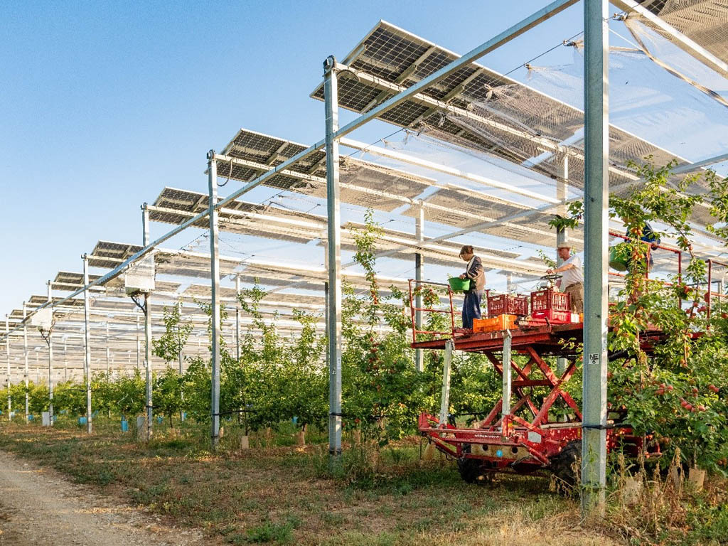 Sistema Agrivoltaico Dinamico