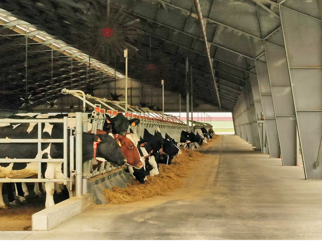 Stalle green: nuovo impianto di biometano agricolo promosso da CGBI - L ...