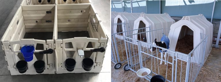 Le tipologie di box per vitelli presenti sul mercato - L'Informatore ...